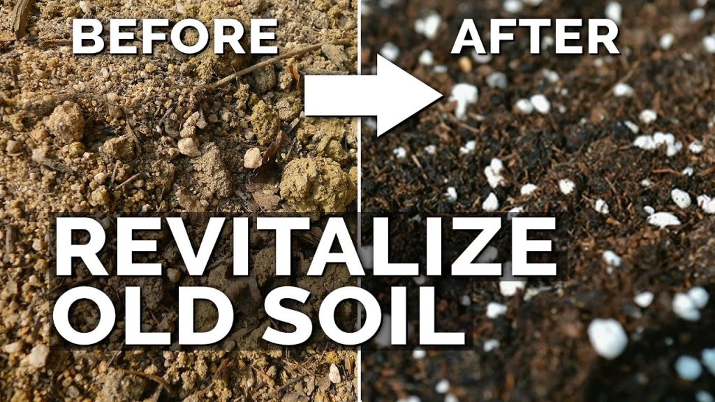 How to Bring Garden Soil Back to Life: Simple Steps for Revitalization ...