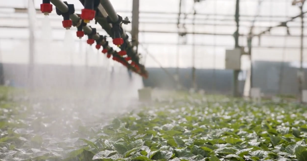 Do Hydroponics Use Less Water? (Here's The Shocking Truth ...