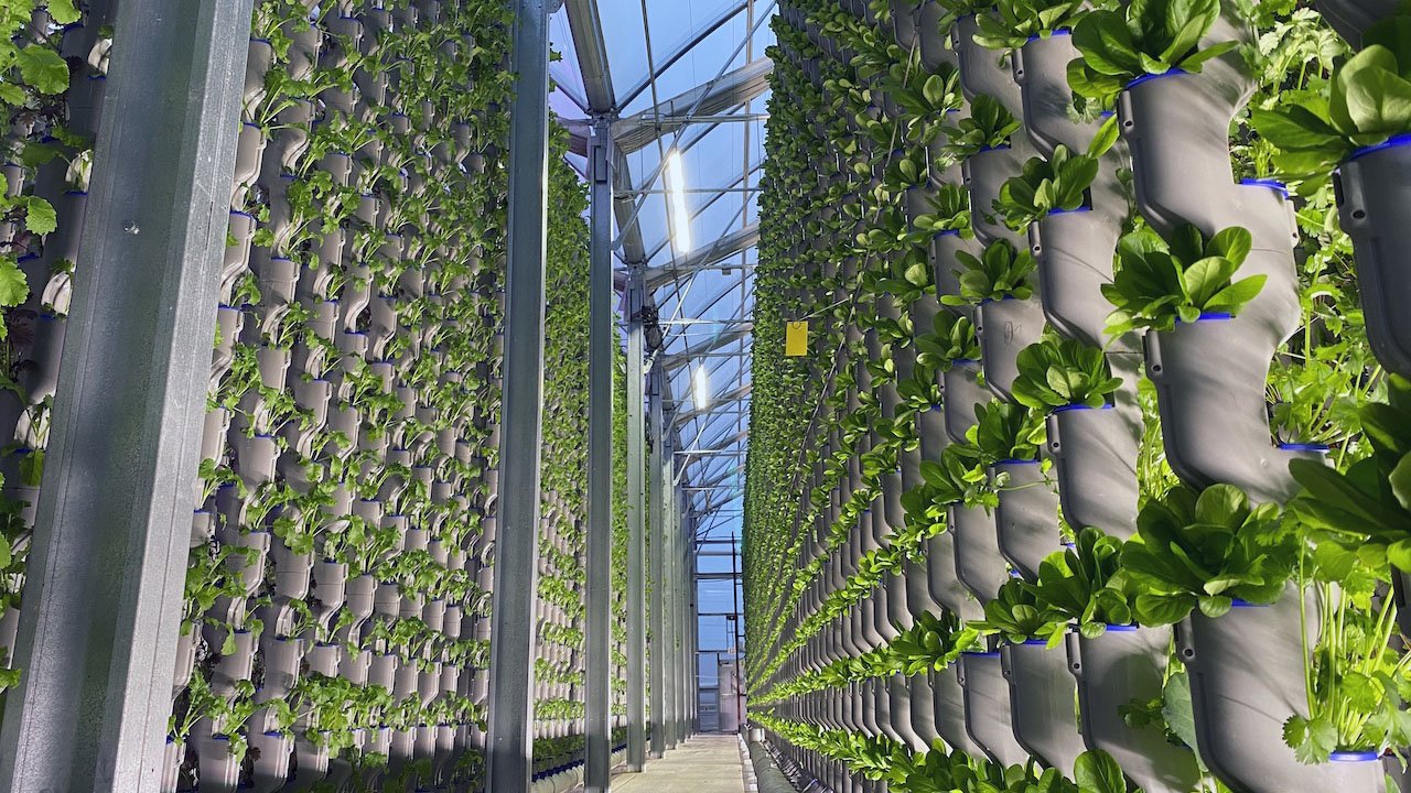 How To Build A Vertical Hydroponic Garden: Grow Up! - MyOrganicPlanet ...